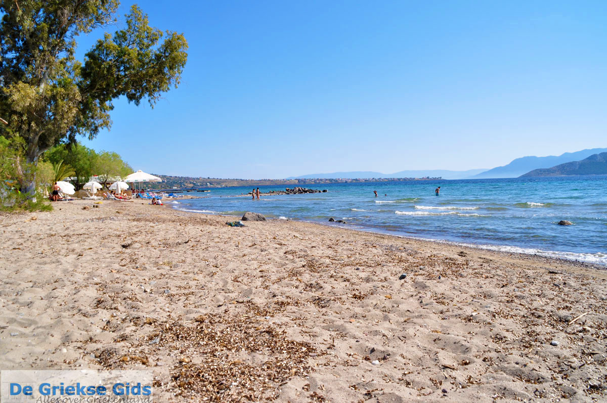 Marathonas Aegina | Holidays in Marathonas Greece